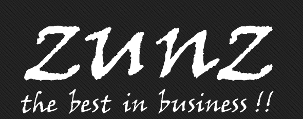 beautiful web designs in srinagar